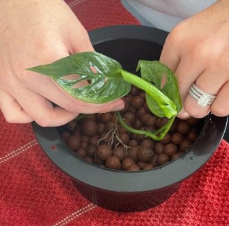LECA Pots -Best Pots For Semi Hydroponics - The Contented Plant