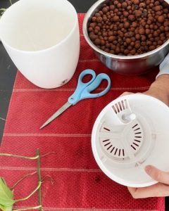 LECA Pots -Best Pots For Semi Hydroponics - The Contented Plant