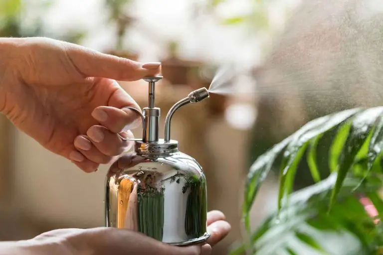 How to Use Hydrogen Peroxide For plants - The Contented Plant