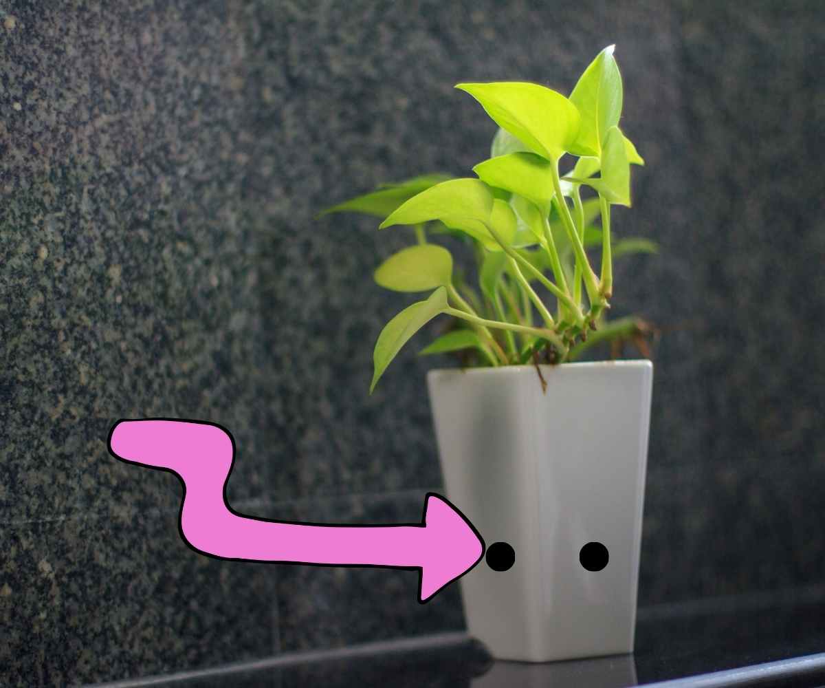 LECA Pots -Best Pots For Semi Hydroponics - The Contented Plant